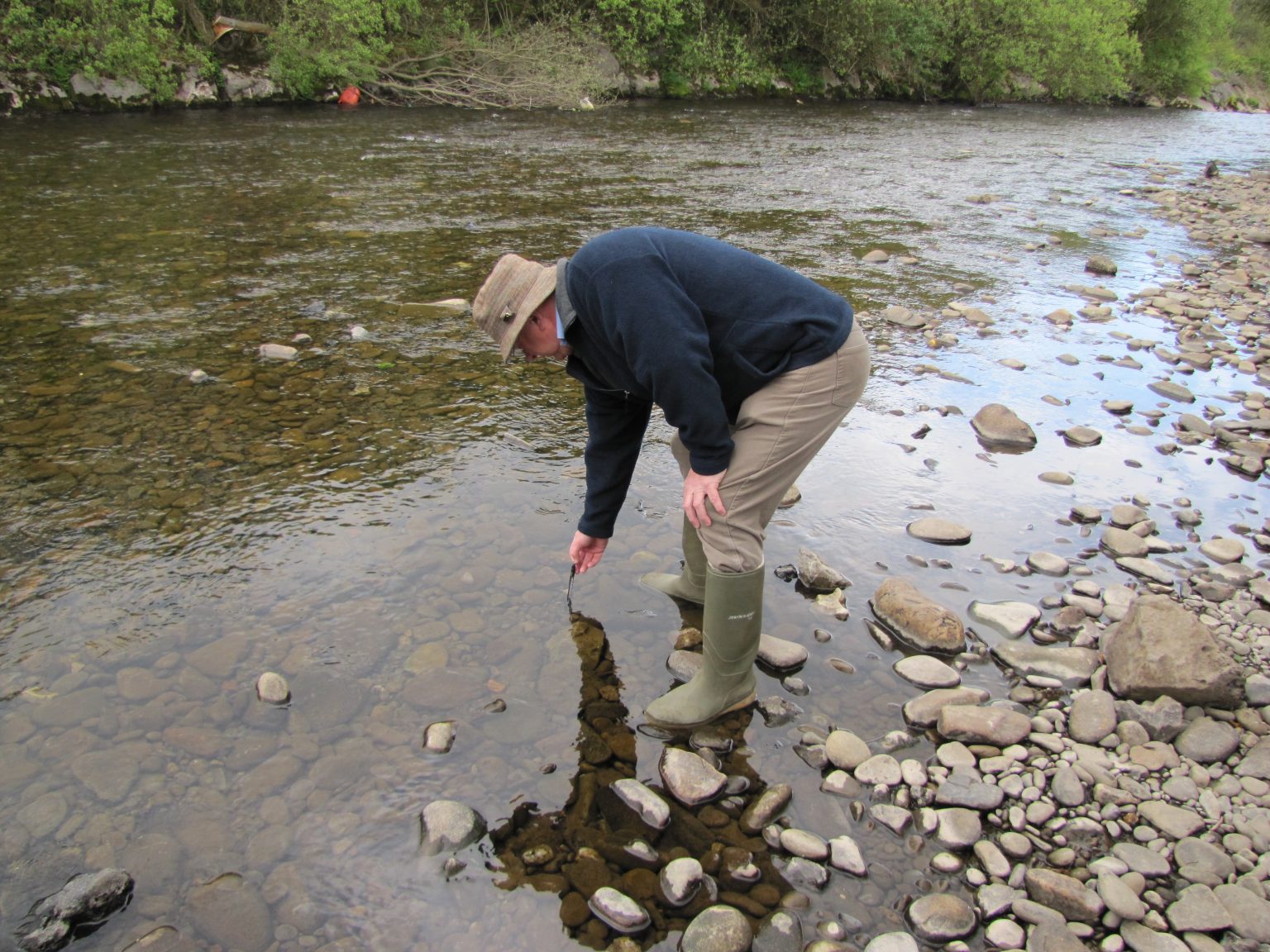 Rivers and fisheries – Friends of the Afan
